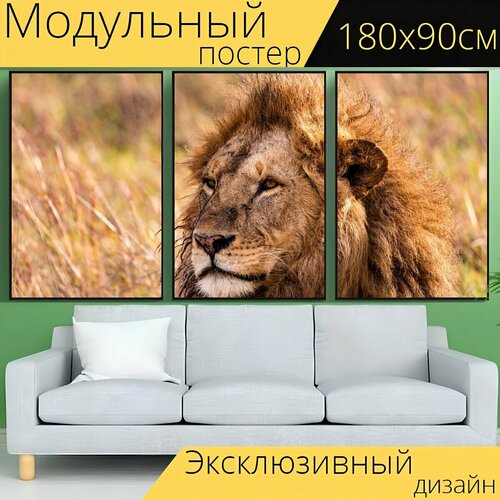 Модульный постер "Лев, кошачий, хищник" 180 x 90 см. для интерьера