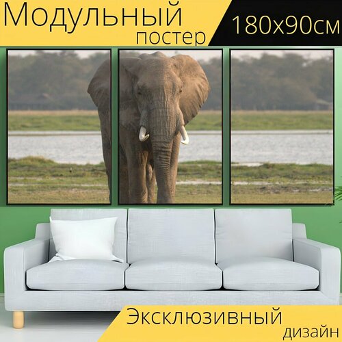 Модульный постер "Нежный гигант, слон, масаи мара" 180 x 90 см. для интерьера