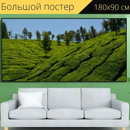 Большой постер "Холм, чайная плантация, поле" 180 x 90 см. для интерьера