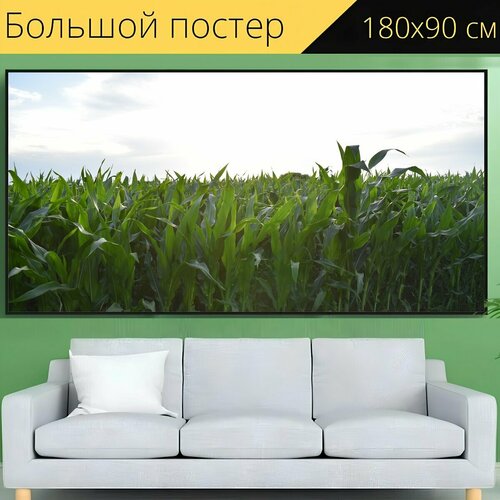 Большой постер "Кукурузное поле, кукуруза, поле" 180 x 90 см. для интерьера