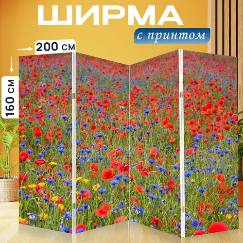 Ширма перегородка с принтом "Мак, цветок, красный" на холсте - 200x160 см. для зонирования, раскладная