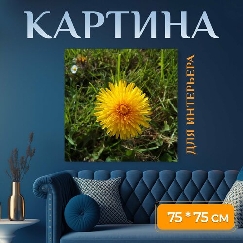Картина на холсте "Природа, флора, цветок" на подрамнике 75х75 см. для интерьера