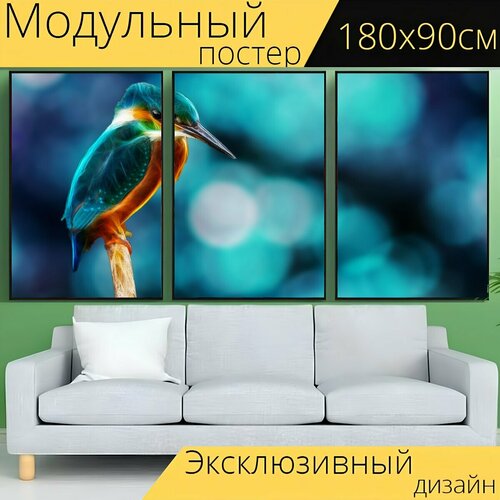 Модульный постер "Птица, зимородок, сидя" 180 x 90 см. для интерьера