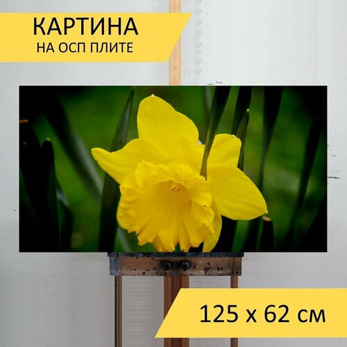 Картина на ОСП 125х62 см. "Нарциссы, цветок, весна" горизонтальная, для интерьера, с креплениями