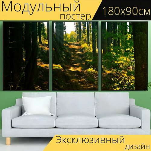 Модульный постер "Лес, лесная тропа, солнечный свет" 180 x 90 см. для интерьера