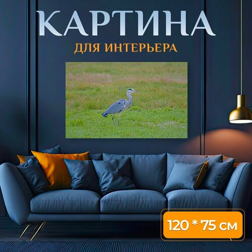 Картина на холсте "Птица, серая цапля, цапля" на подрамнике 120х75 см. для интерьера