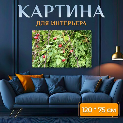 Картина на холсте "Шиповника, кустарник, красный" на подрамнике 120х75 см. для интерьера