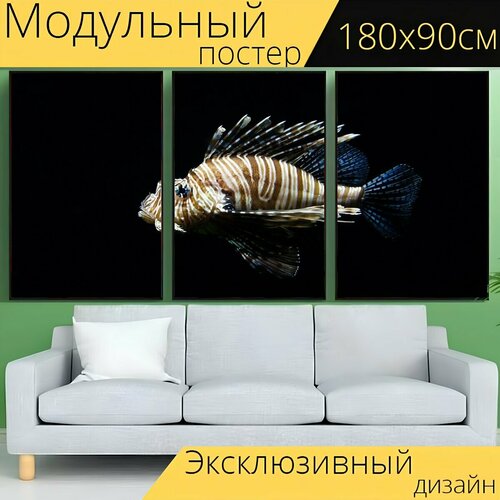 Модульный постер "Крылатка, рыбы, подводный" 180 x 90 см. для интерьера