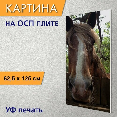 Вертикальная картина на ОСП "Лошадь, животные, пастбище" 62x125 см. для интерьериа