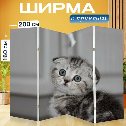 Ширма перегородка с принтом "Кошка, кошачий, китти" на холсте - 200x160 см. для зонирования, раскладная