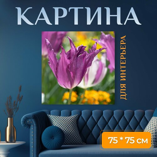 Картина на холсте "Тюльпан, цветок, завод" на подрамнике 75х75 см. для интерьера