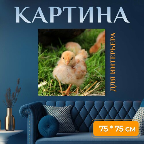 Картина на холсте "Цыпленок, желтый, милый" на подрамнике 75х75 см. для интерьера