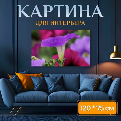 Картина на холсте "Петуния, закрывать, цвести" на подрамнике 120х75 см. для интерьера