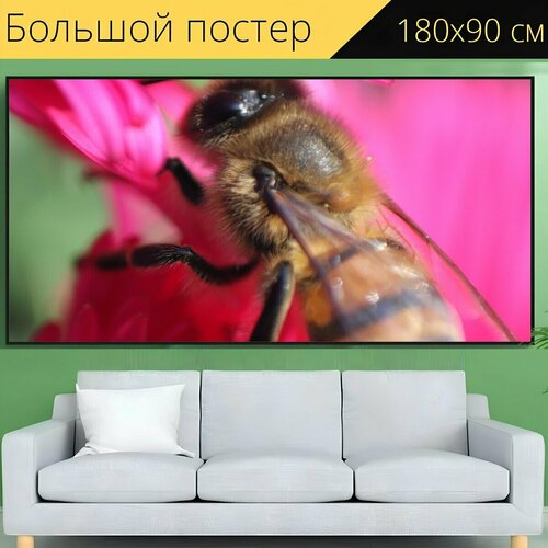 Большой постер "Пчела, пчелы, макрос" 180 x 90 см. для интерьера
