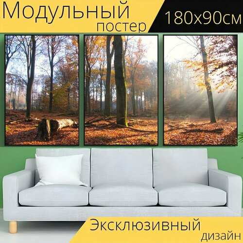 Модульный постер "Лес, осень, солнечный свет" 180 x 90 см. для интерьера