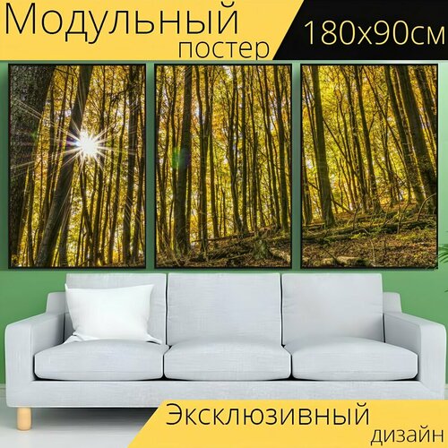 Модульный постер "Солнечный камень, лес, солнечные лучи" 180 x 90 см. для интерьера