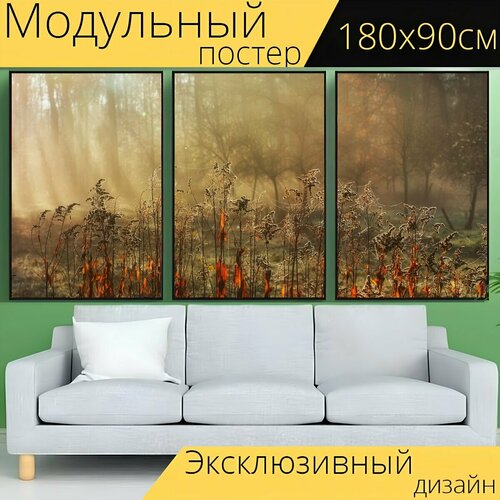 Модульный постер "Восход солнца, лес, туман" 180 x 90 см. для интерьера