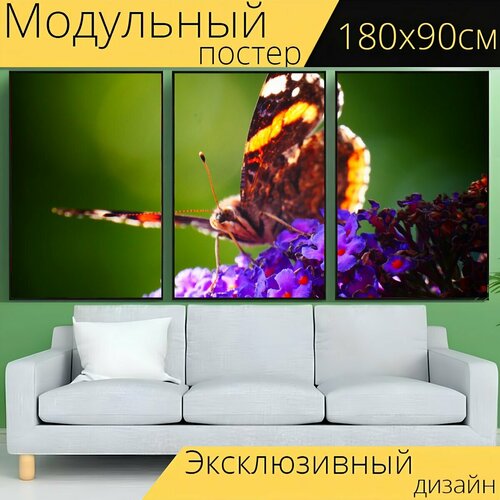 Модульный постер "Бабочка, природа, красочный" 180 x 90 см. для интерьера