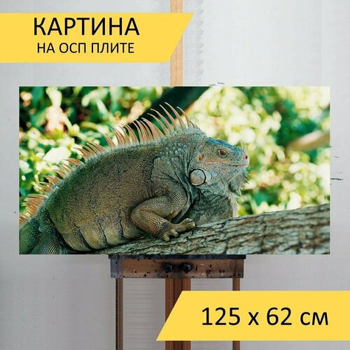Картина на ОСП 125х62 см. "Игуана, животное, ящерица" горизонтальная, для интерьера, с креплениями