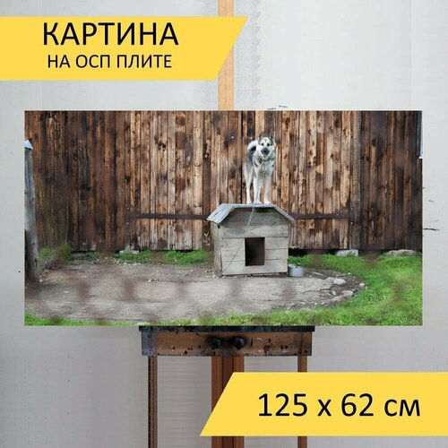 Картина на ОСП 125х62 см. "Собака, цепочки, питомник" горизонтальная, для интерьера, с креплениями