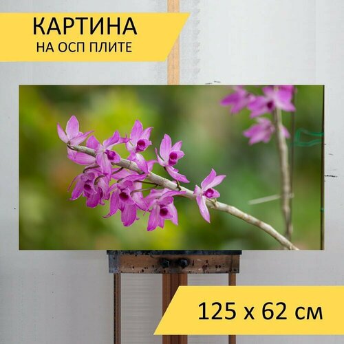 Картина на ОСП 125х62 см. "Орхидея, цветок, сад" горизонтальная, для интерьера, с креплениями