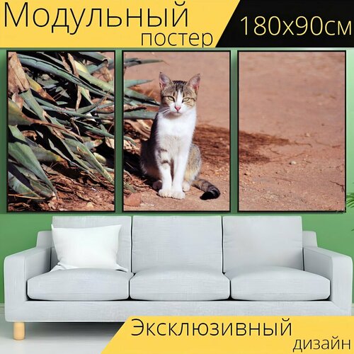 Модульный постер "Кошка, кошачий, котенок" 180 x 90 см. для интерьера