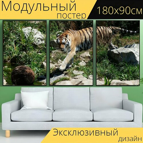Модульный постер "Тигр, животное, зверь" 180 x 90 см. для интерьера