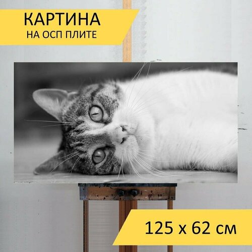 Картина на ОСП 125х62 см. "Кошка, домашний питомец, кошачий" горизонтальная, для интерьера, с креплениями