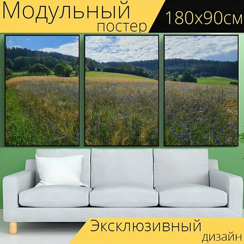 Модульный постер "Кукурузное поле, сельское хозяйство, зерно" 180 x 90 см. для интерьера