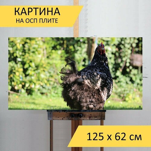 Картина на ОСП 125х62 см. "Курица, домашняя птица, животное" горизонтальная, для интерьера, с креплениями