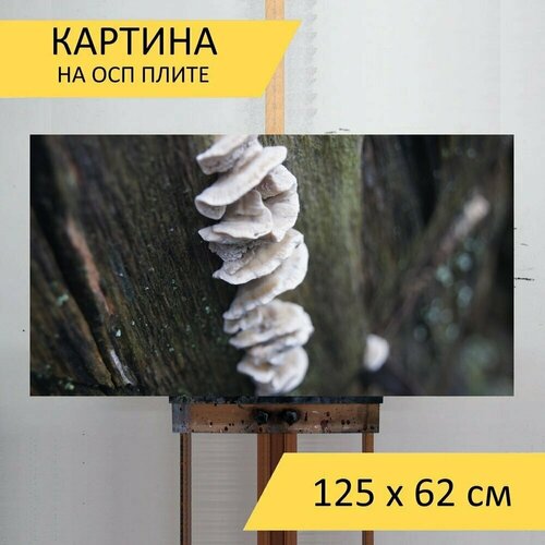 Картина на ОСП 125х62 см. "Гриб, осень, грибы" горизонтальная, для интерьера, с креплениями