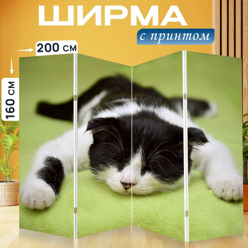 Ширма перегородка с принтом "Кот, сон, кот отдыхает" на холсте - 200x160 см. для зонирования, раскладная