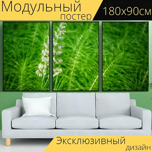 Модульный постер "Хвощ, цветок, трава" 180 x 90 см. для интерьера