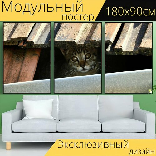 Модульный постер "Кот, мужчина, крыша" 180 x 90 см. для интерьера