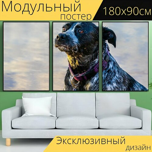 Модульный постер "Собака, пляж, портрет" 180 x 90 см. для интерьера