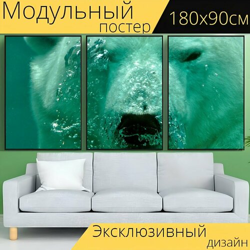 Модульный постер "Полярный медведь, нести, затопленный" 180 x 90 см. для интерьера