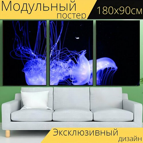 Модульный постер "Медуза, аквариум, водный" 180 x 90 см. для интерьера
