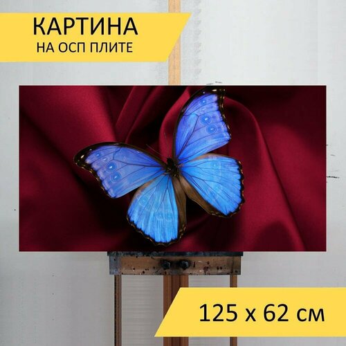 Картина на ОСП 125х62 см. "Бабочка, насекомое, крылья" горизонтальная, для интерьера, с креплениями