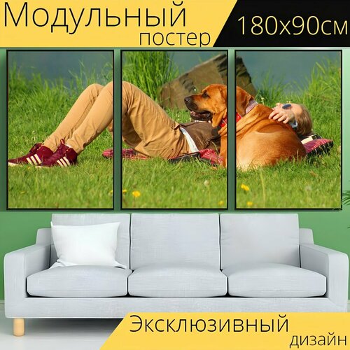 Модульный постер "Собака, девочка, летом" 180 x 90 см. для интерьера