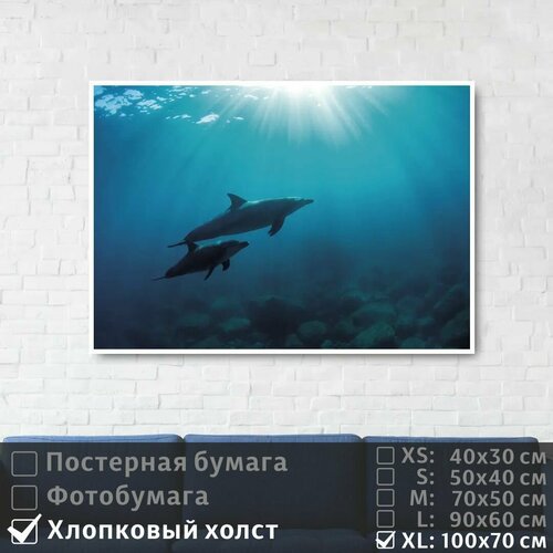 Постер на холсте Два Дельфина Плавают В Глубине Океана 100х70 см ПолиЦентр