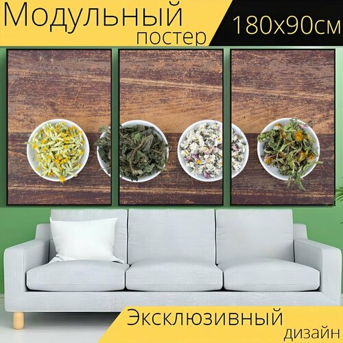 Модульный постер "Травы лекарственные, травяной чай, расцветает" 180 x 90 см. для интерьера