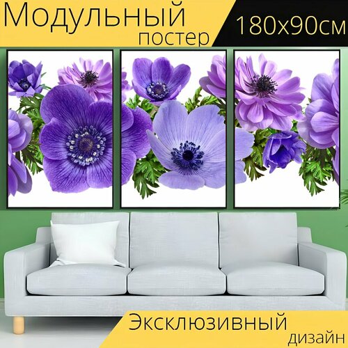 Модульный постер "Анемоны, цветы, фиолетовый" 180 x 90 см. для интерьера