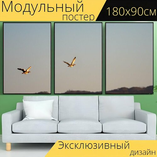 Модульный постер "Пейзаж, летающий, птицы" 180 x 90 см. для интерьера