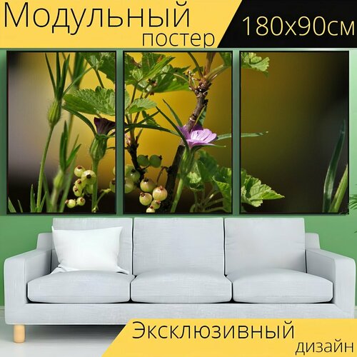 Модульный постер "Смородина, ягода, весна" 180 x 90 см. для интерьера