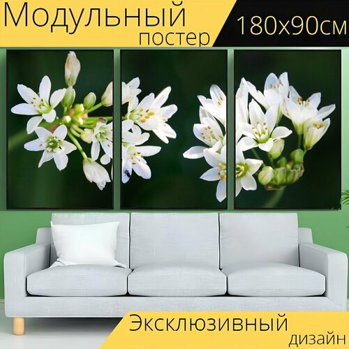 Модульный постер "Цветы, белый, цветочки" 180 x 90 см. для интерьера