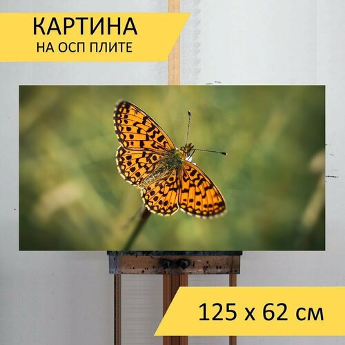 Картина на ОСП 125х62 см. "Бабочка, насекомое, жук" горизонтальная, для интерьера, с креплениями