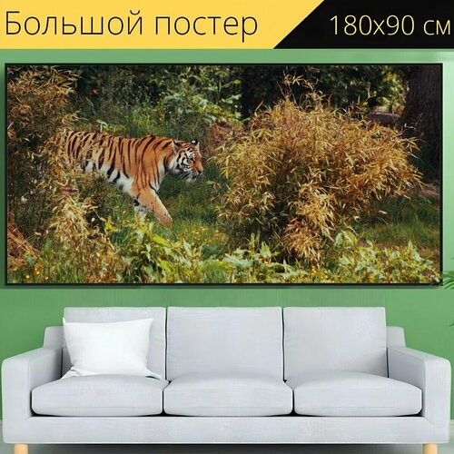 Большой постер "Тигр, большой кот, кошка" 180 x 90 см. для интерьера