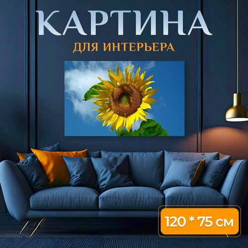Картина на холсте "Подсолнечник, цветок, желтый" на подрамнике 120х75 см. для интерьера