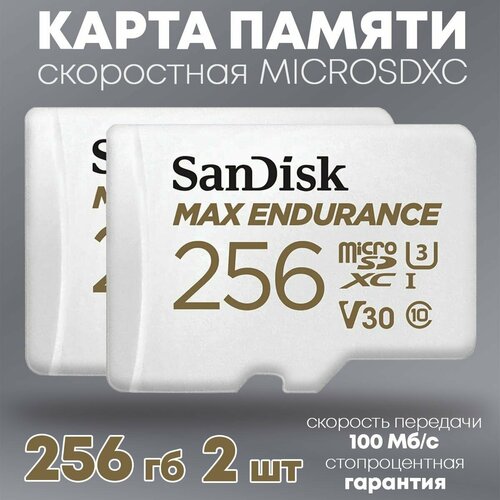 Карта памяти SanDisk Max Endurance V30 microSDXC 256GB 2 шт.