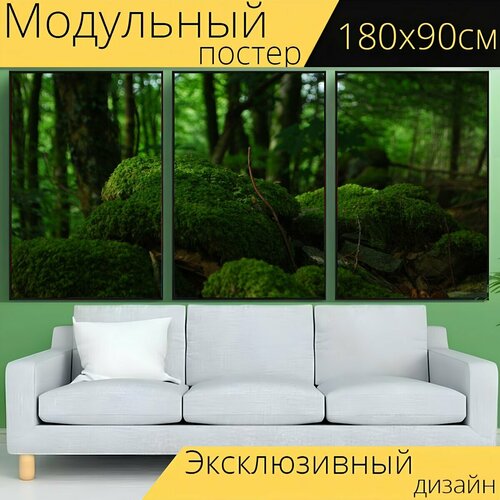 Модульный постер "Лес, деревья, мусс" 180 x 90 см. для интерьера